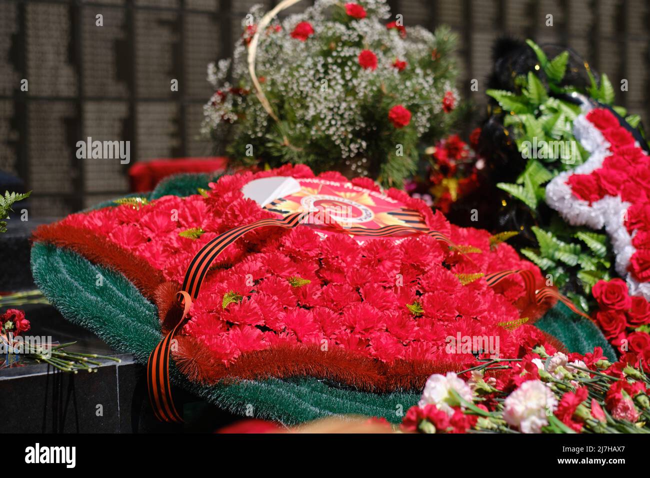 Laying flowers on Victory Day on the ninth of May Stock Photo - Alamy