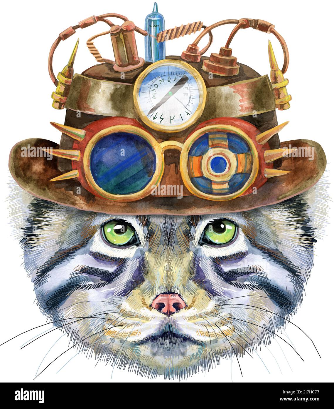 Steampunk Cat Drawing