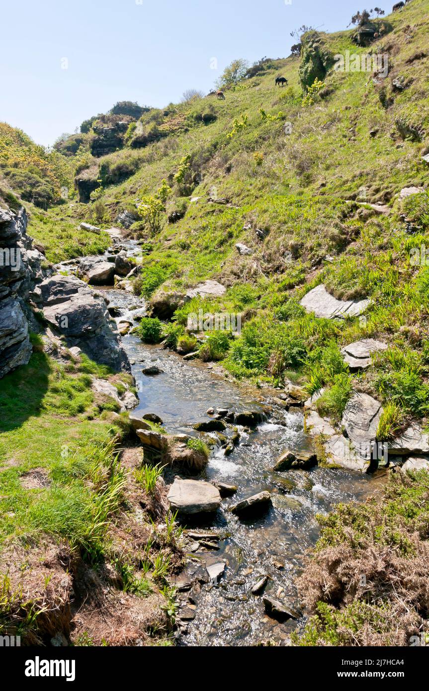 Rocky Valley between Boscastle and Tintagel, Cornwall, England Stock ...