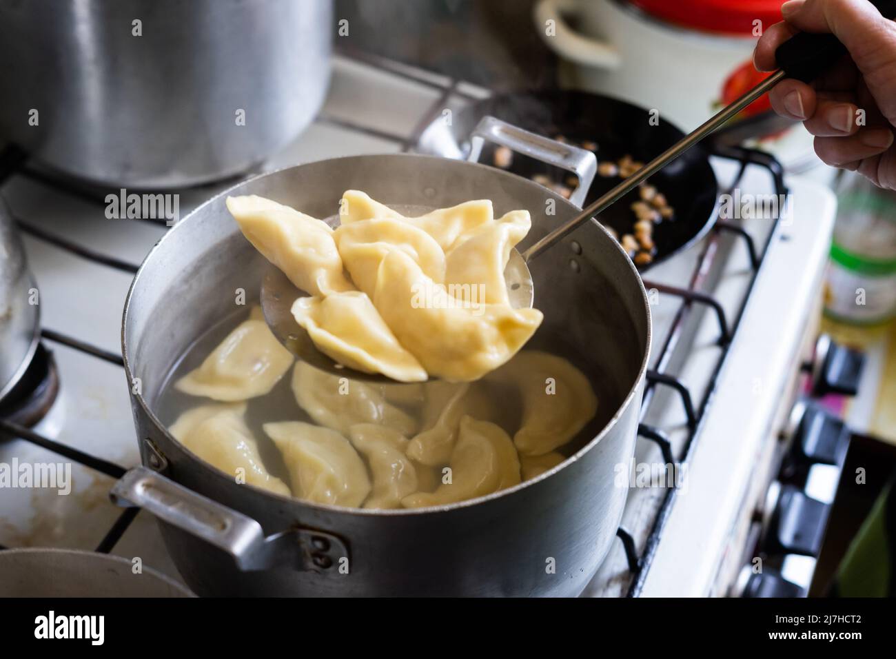 Cooking dumplings pan on the stove. Traditional Ukrainian food Stock ...