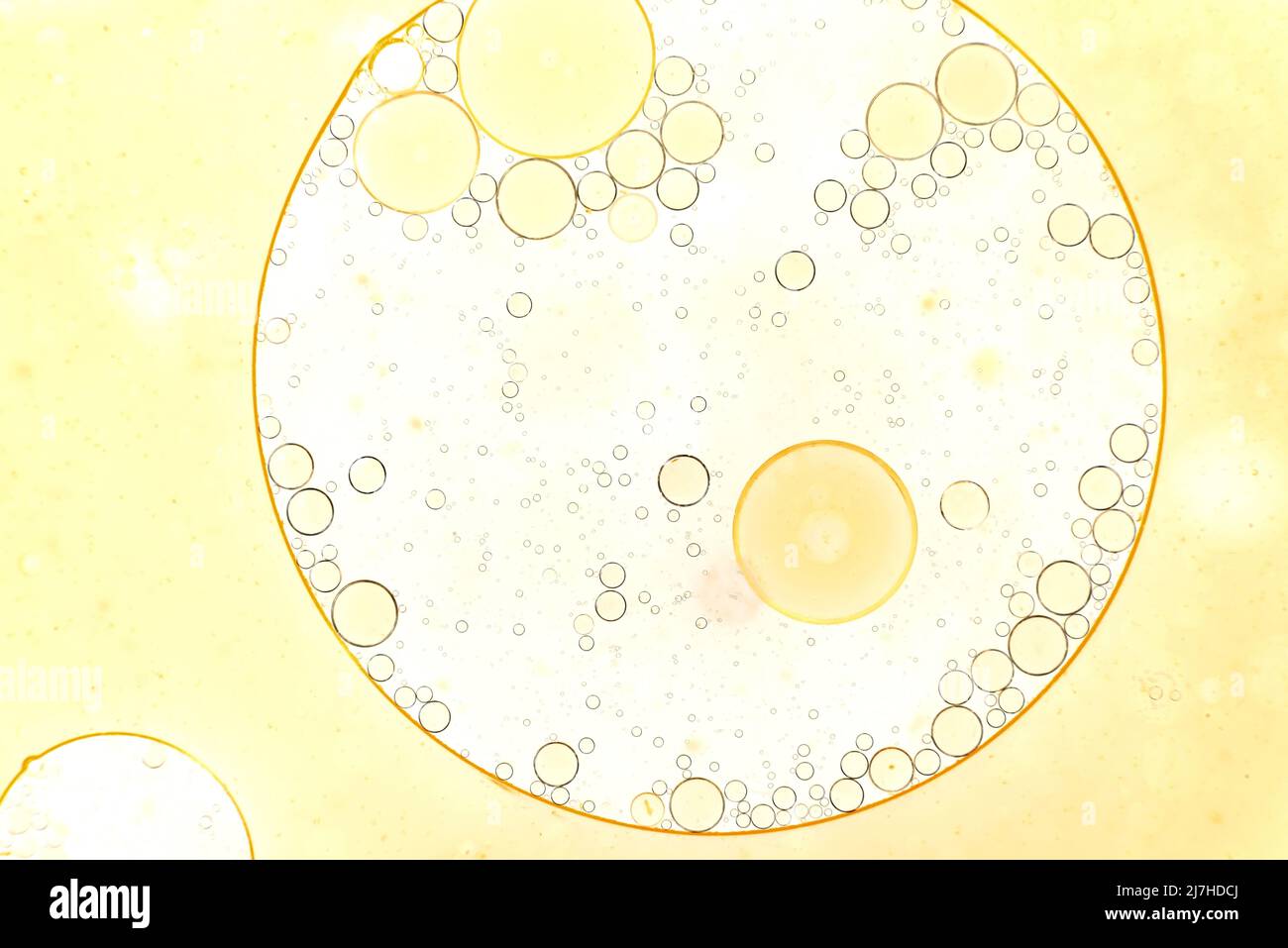 Drops of fat in water. Bubbles of fat close up Stock Photo - Alamy