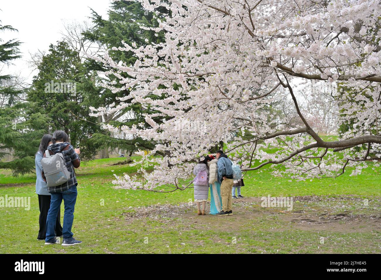 Spring in the Central Park, Manhattan NYC Stock Photo - Alamy