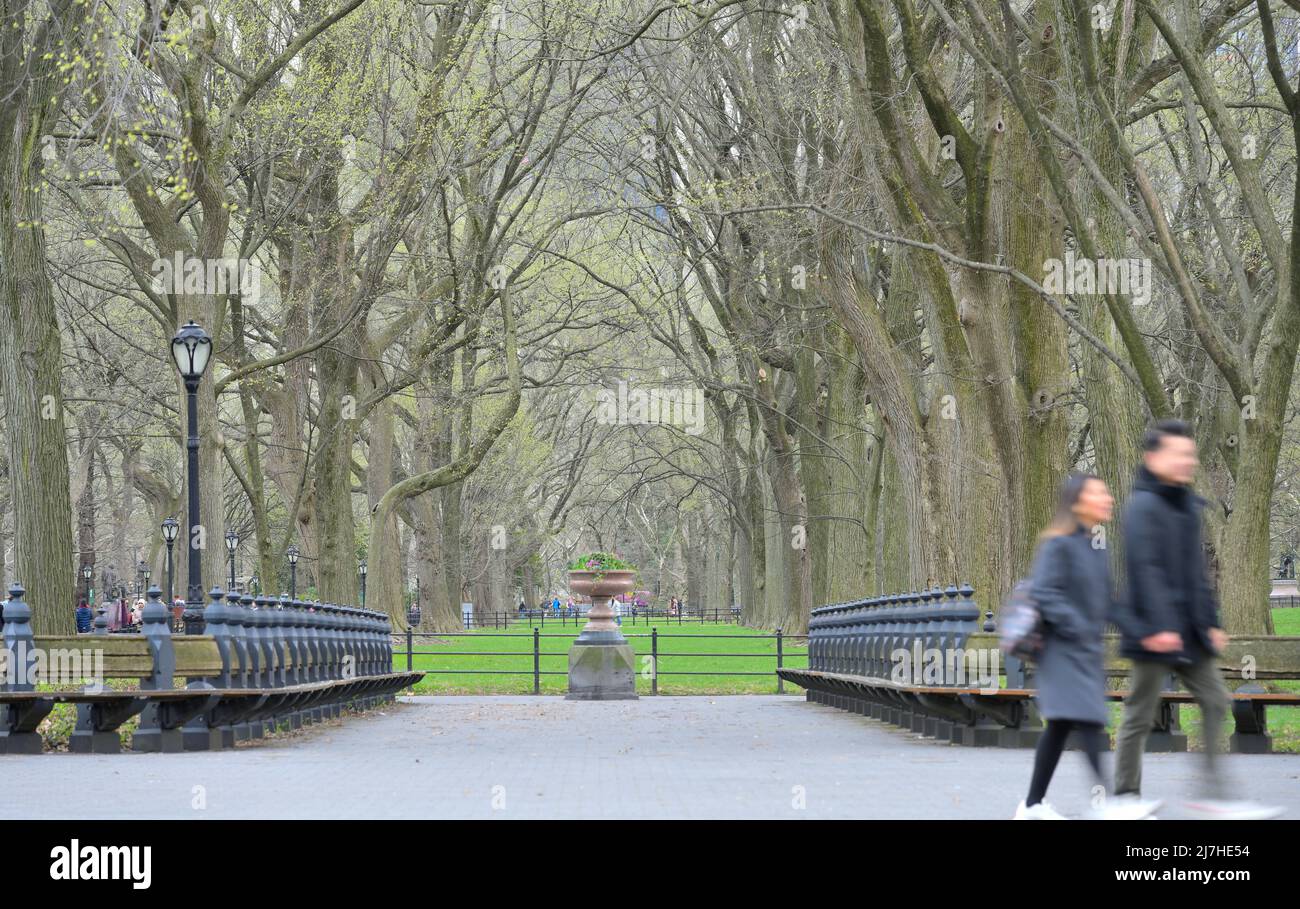 Spring in the Central Park, Manhattan NYC Stock Photo - Alamy
