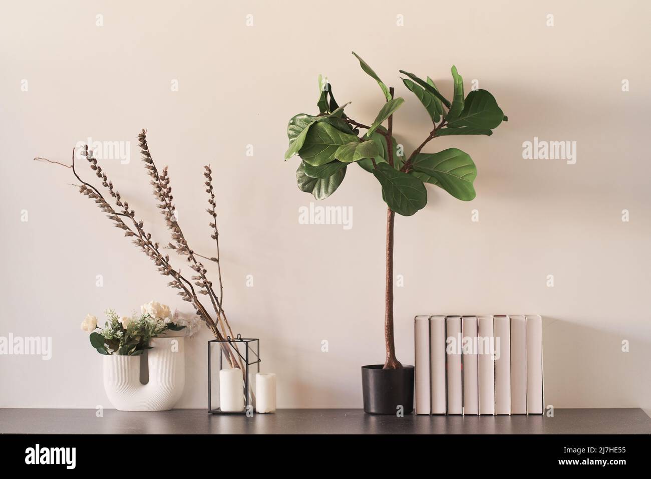 Plants compound leaf structure hi-res stock photography and images - Alamy