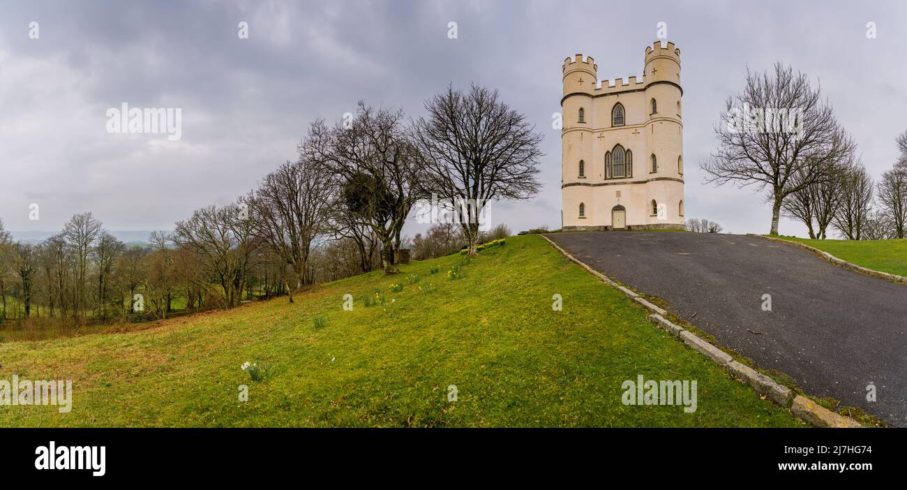 Haldon Belvedere and Forest Devon Stock Photo - Alamy