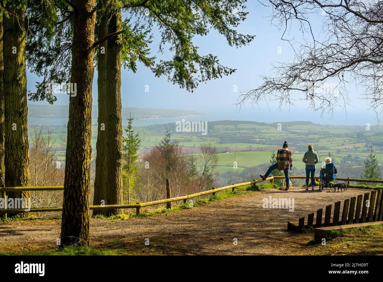 The view across the Exe Estuary from Manhead Forest Stock Photo - Alamy