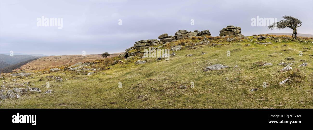Combestone Tor on Dartmoor - multi-shot pano Stock Photo - Alamy