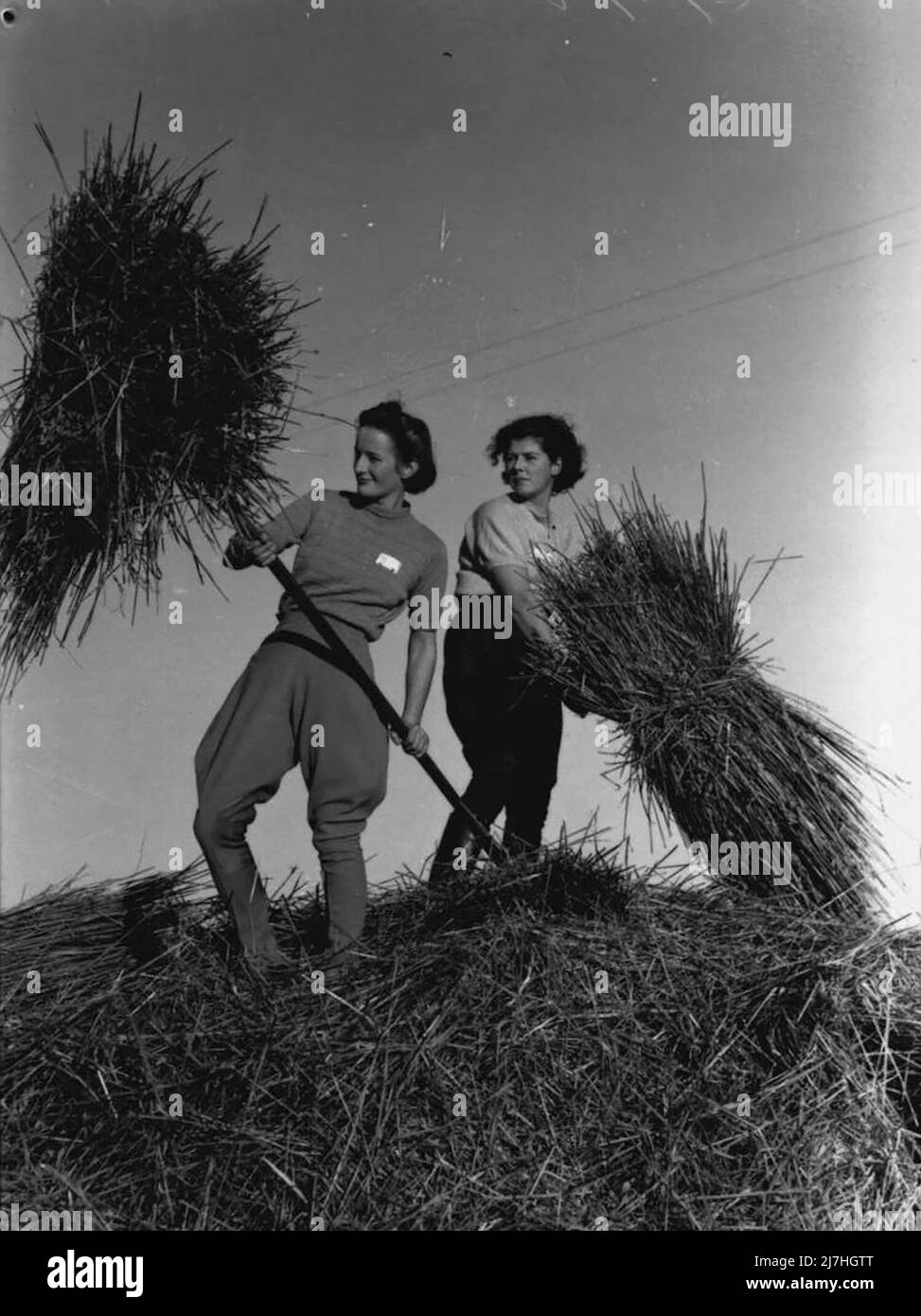 Woman's land army and world war ii hi-res stock photography and images ...