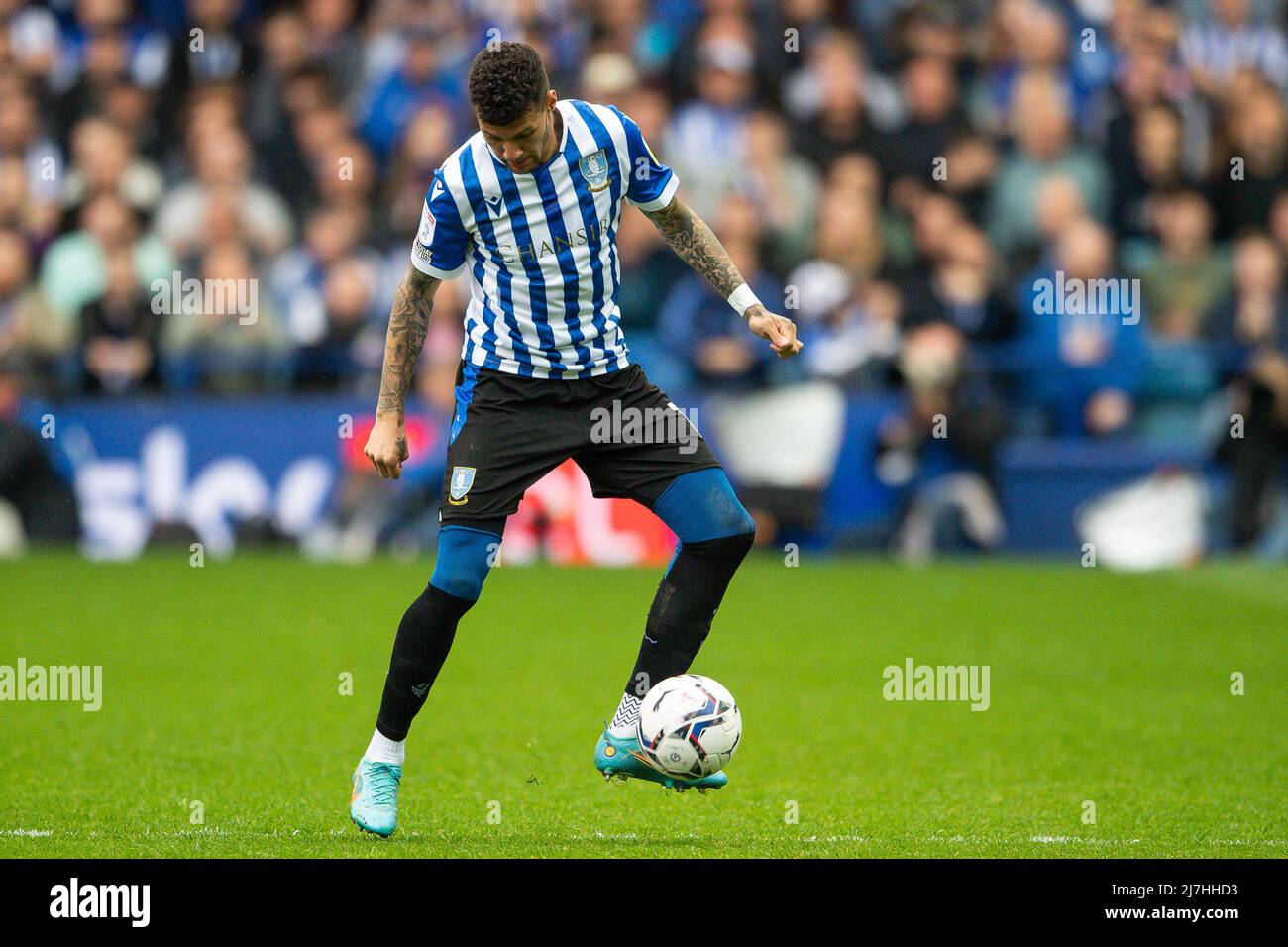 Marvin Johnson #18 of Sheffield Wednesday in action during the game ...