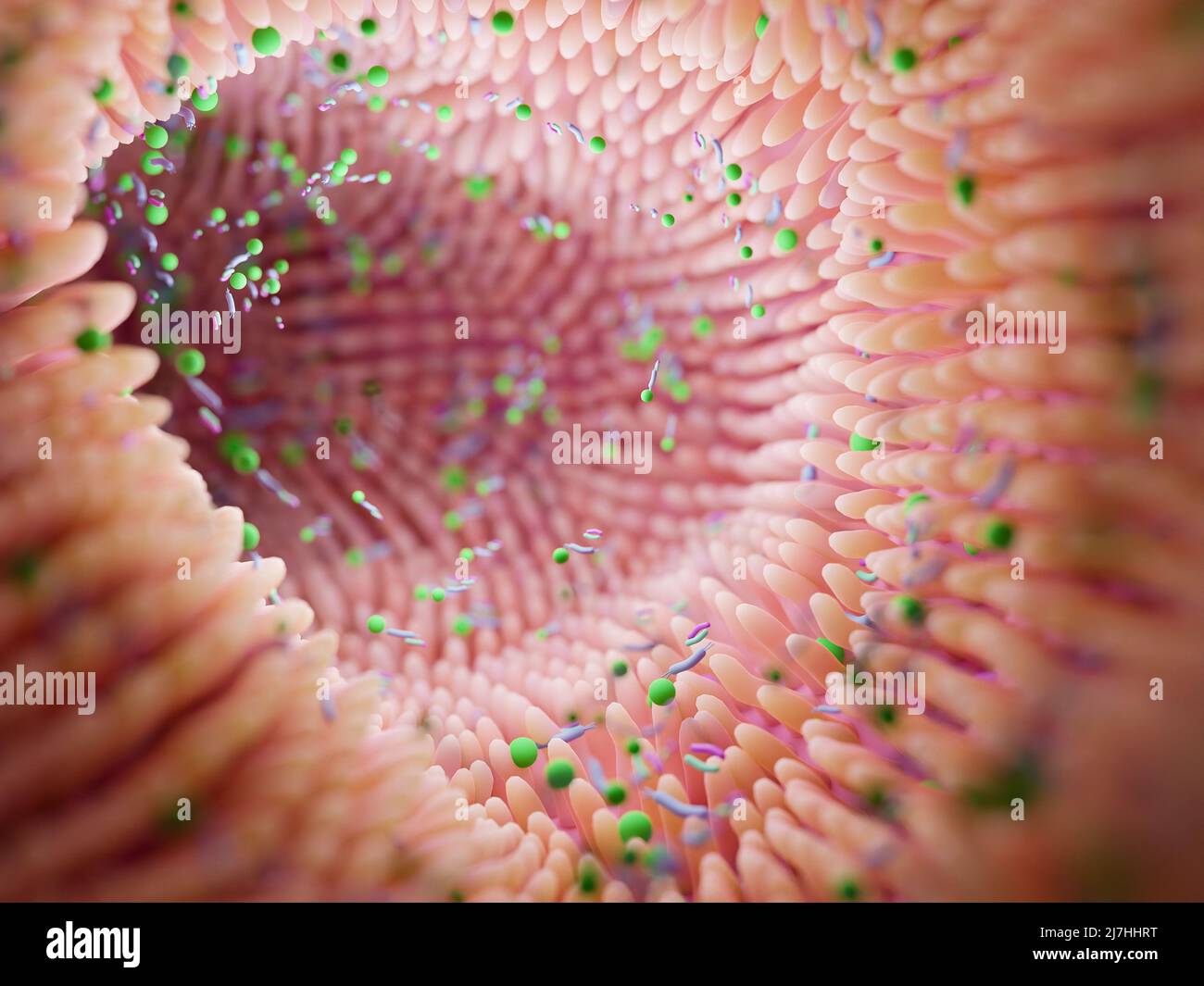 Microbiome intestine factories and microbiota. Gut health 3d render ...