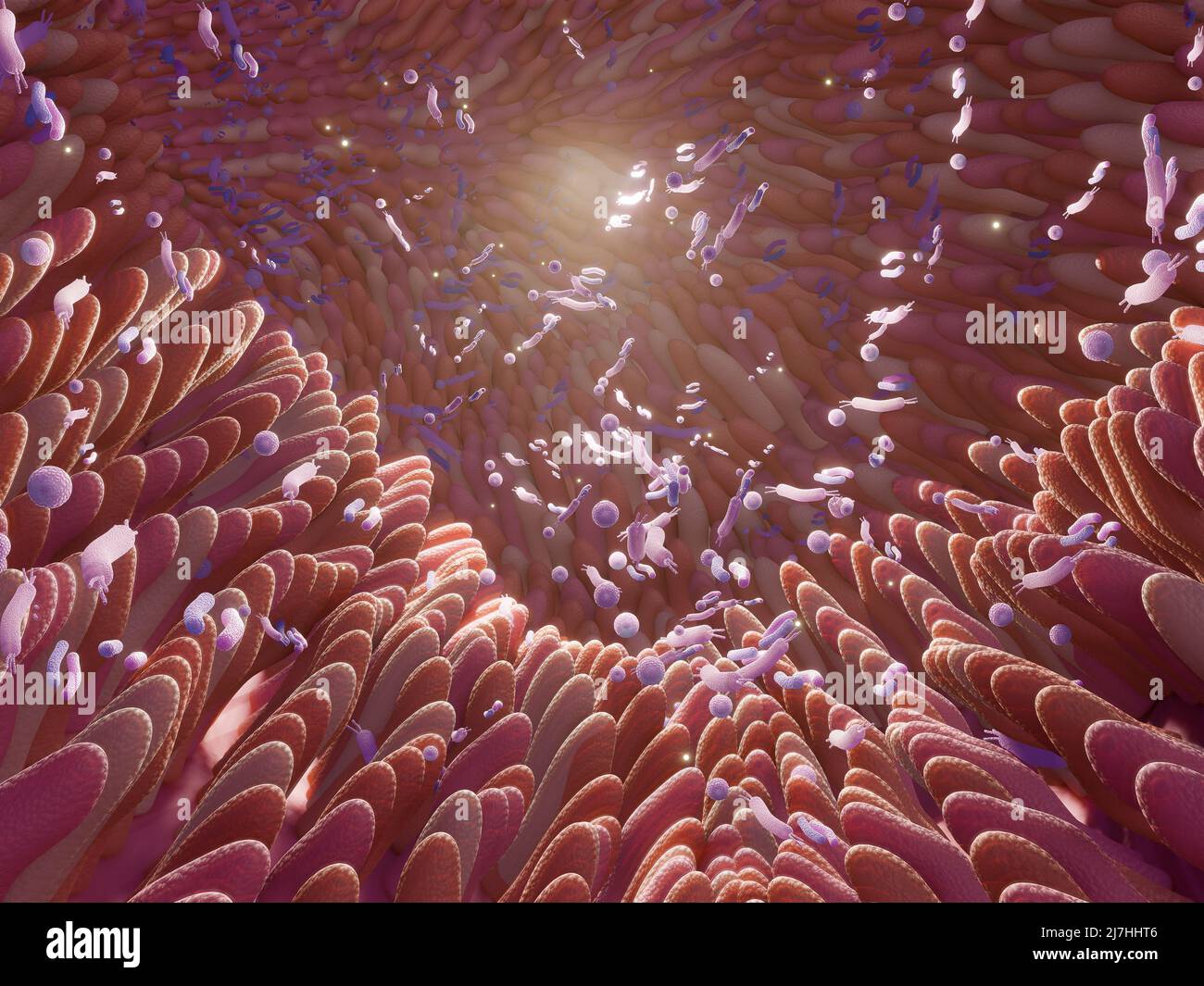 Microbiome intestine factories and microbiota. Gut health 3d render ...