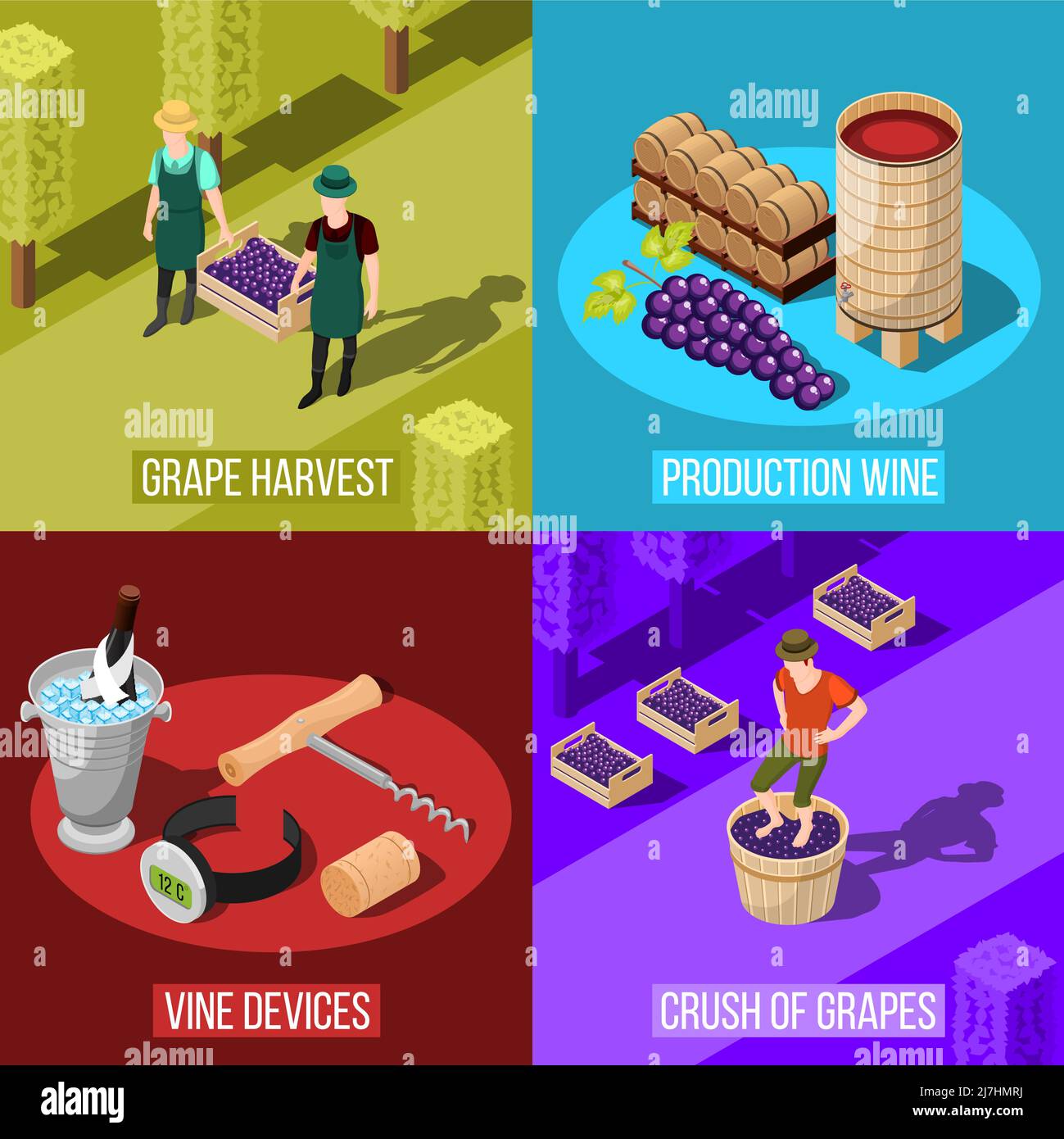 Isometric wine production design concept with colorful square ...