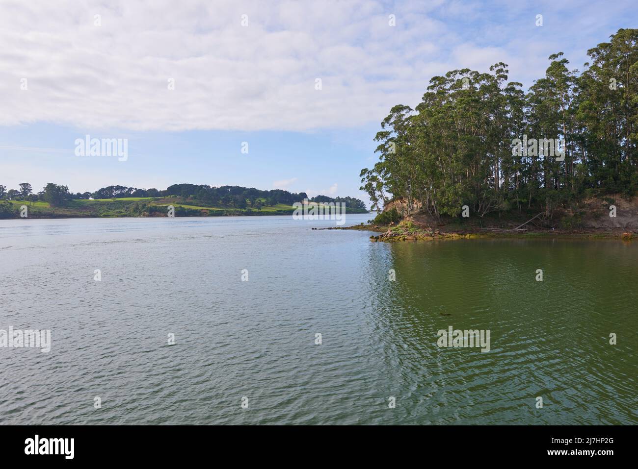 A beautiful panoramic view of a river with abundant vegetation on its ...