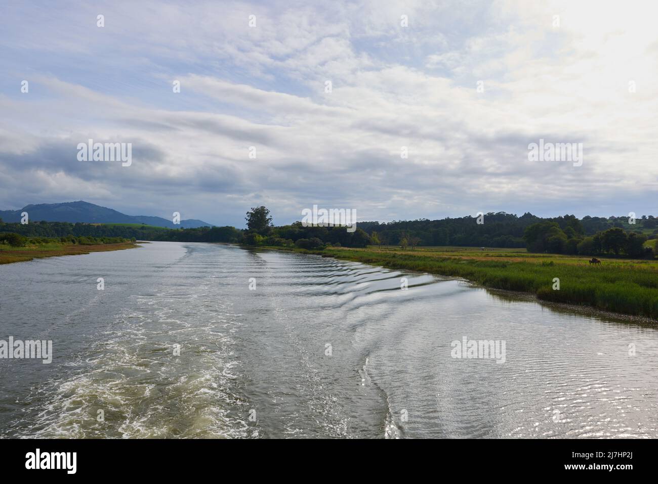 A beautiful panoramic view of a river with abundant vegetation on its ...
