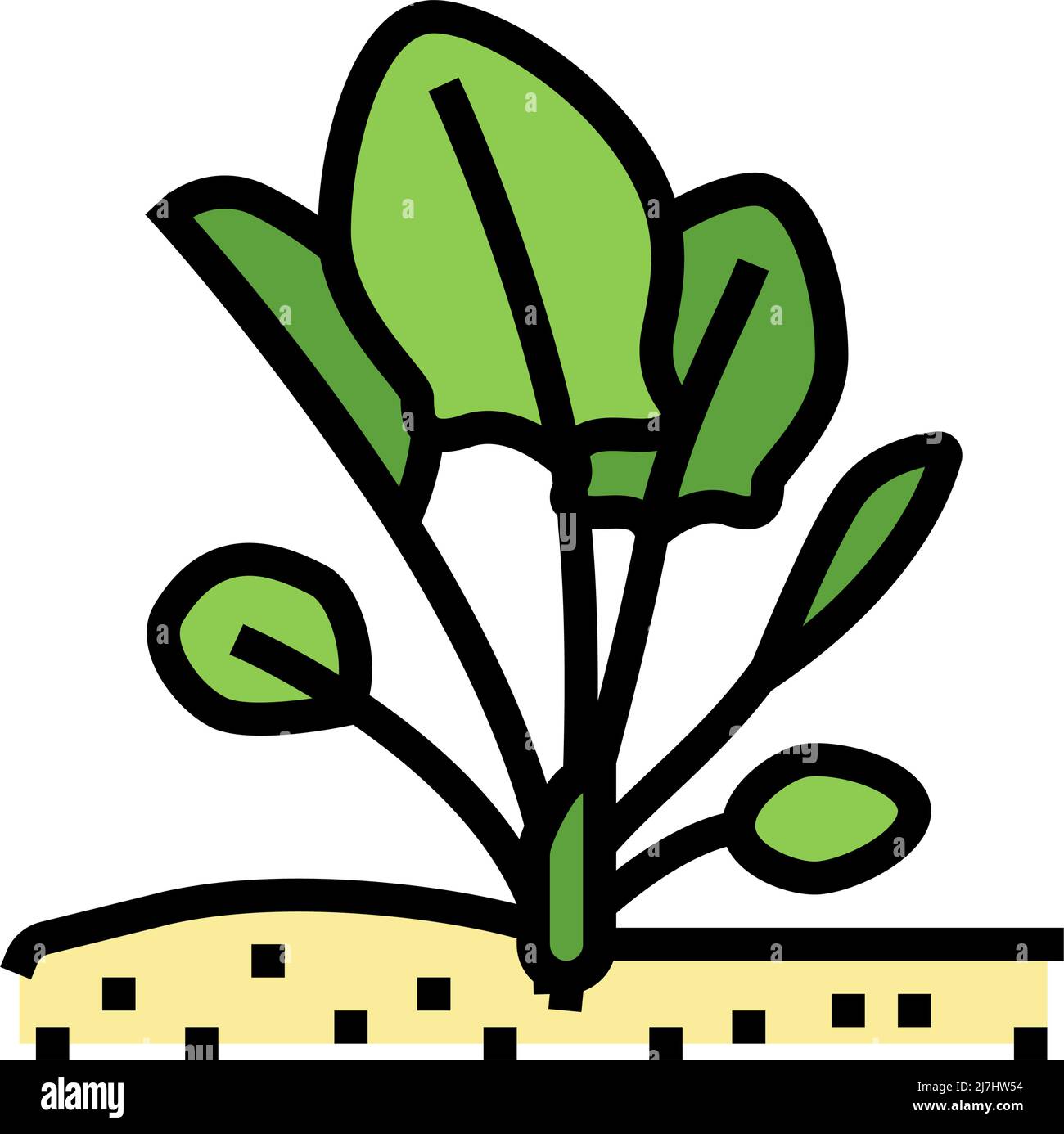 plant spinach growing color icon vector illustration Stock Vector Image ...
