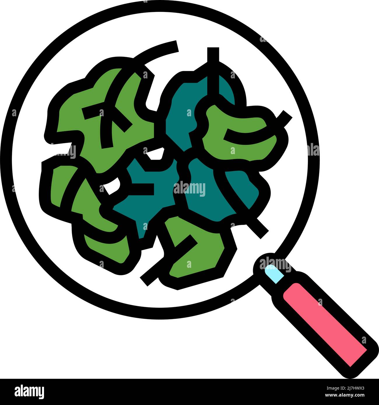 raw spinach color icon vector illustration Stock Vector Image & Art - Alamy