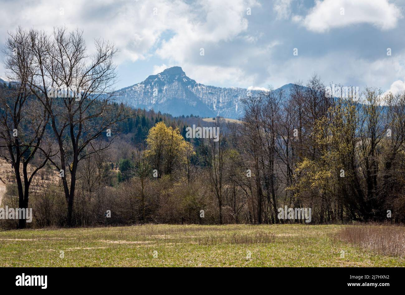 Rocky peak of the Klak mountain in Mala Fatra mountain range, Slovakia ...