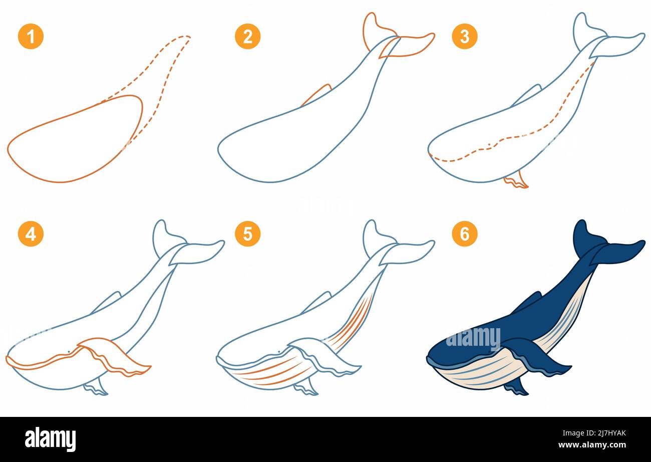 How To Draw A Whale Step By Step Easy How To Draw A Whale Tutorial And