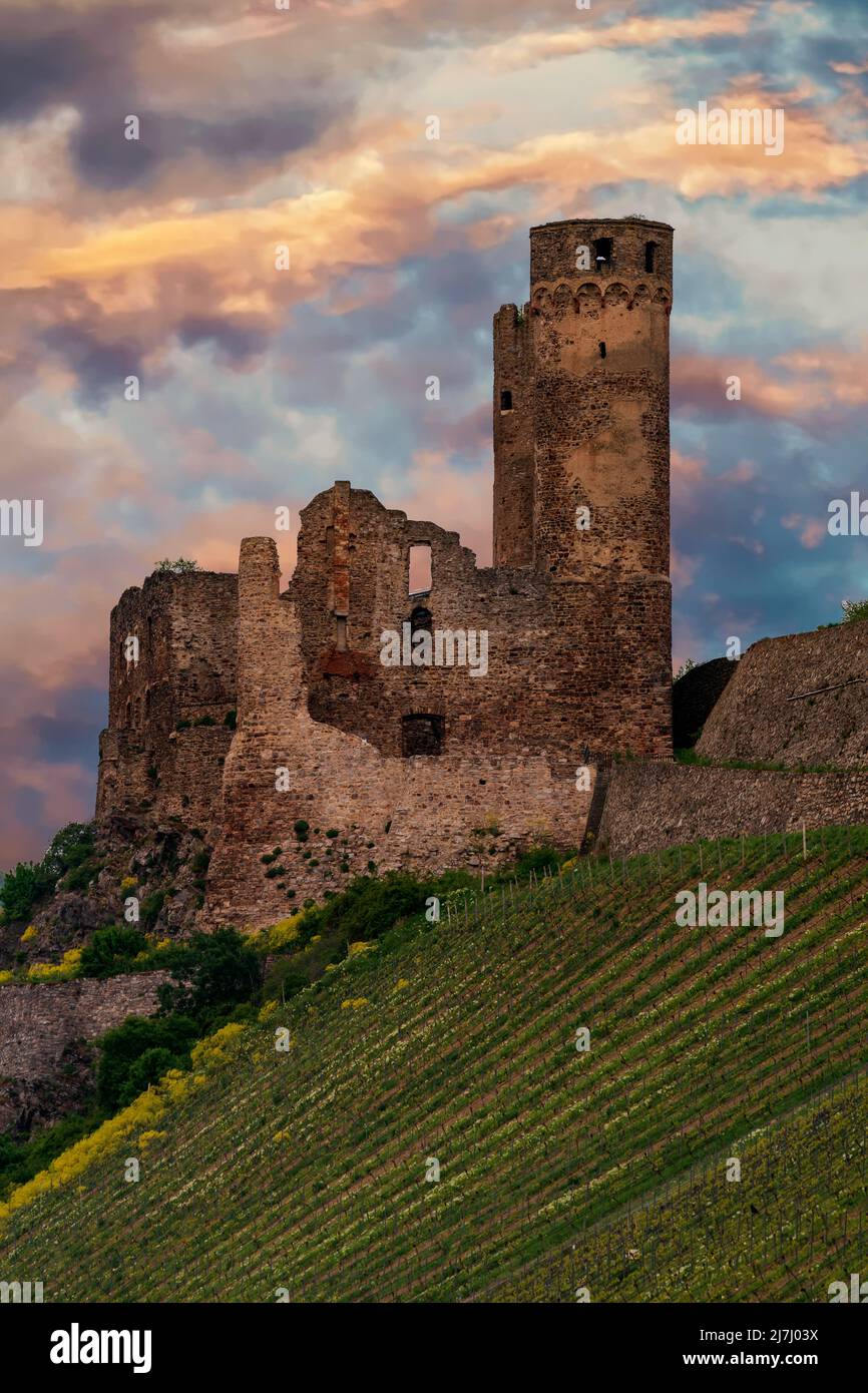 Ehrenfels Castle on the banks of the Middle Rhine River in Germany ...