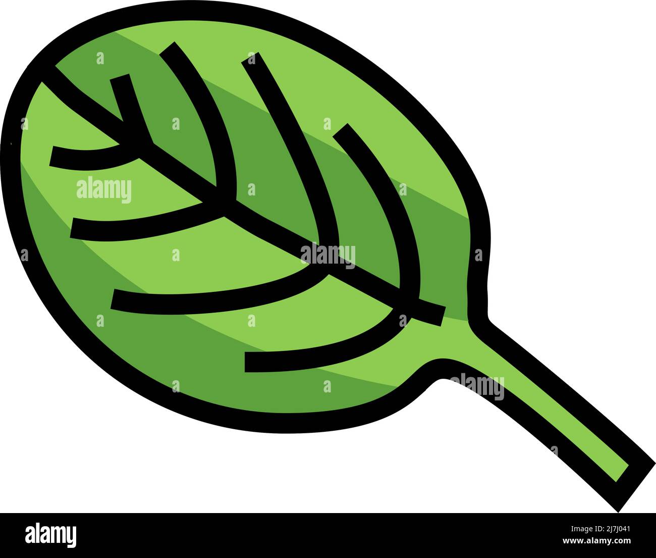leaf spinach color icon vector illustration Stock Vector Image & Art ...