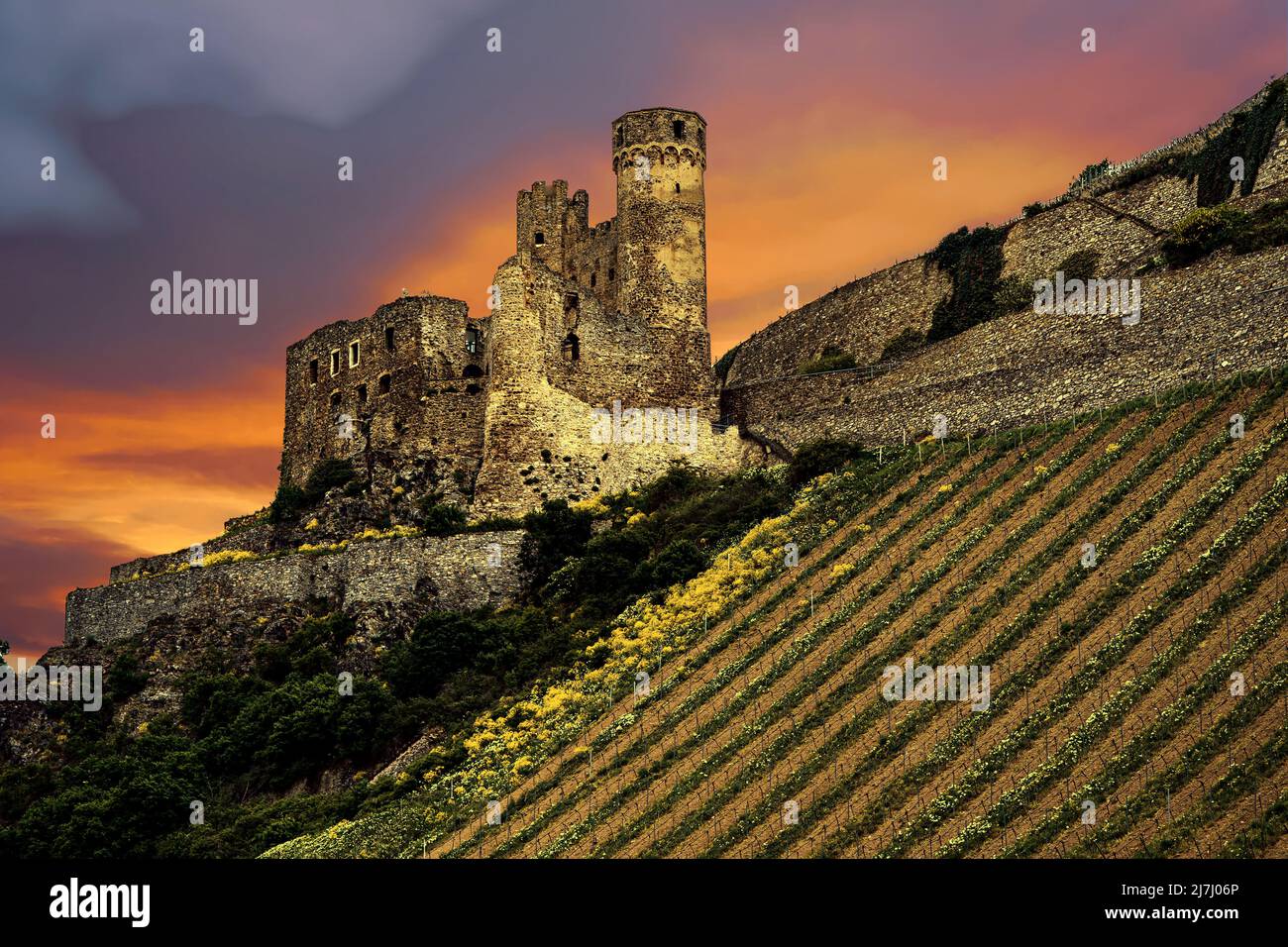 Ehrenfels Castle on the banks of the Middle Rhine River in Germany ...