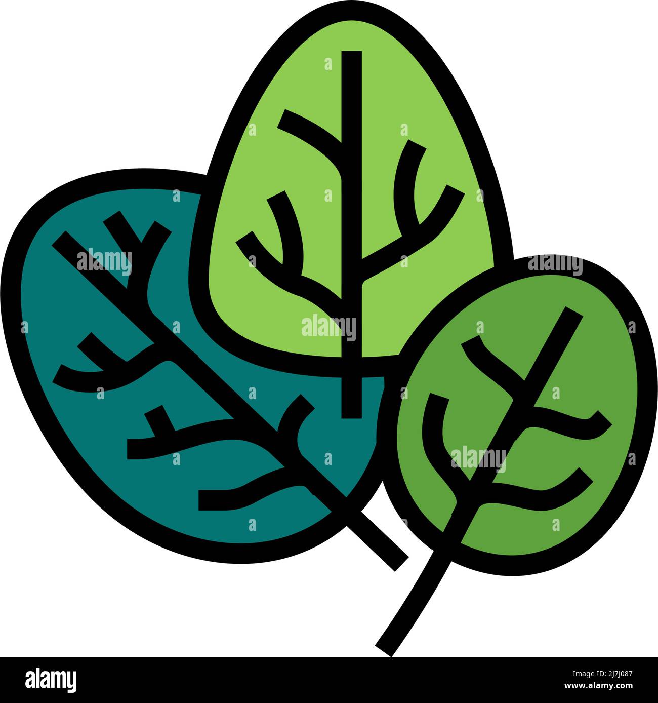 spinach plant color icon vector illustration Stock Vector Image & Art ...