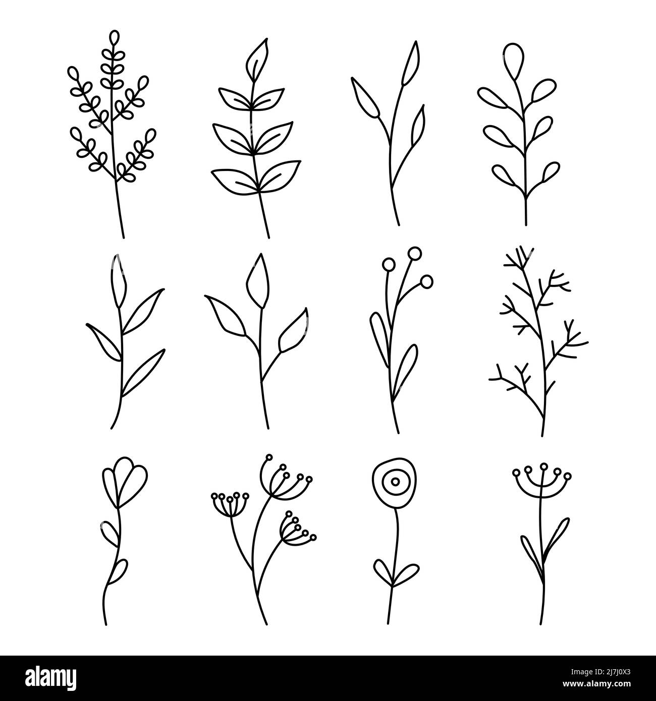 Collection of minimalistic simple floral elements. Graphic sketch ...