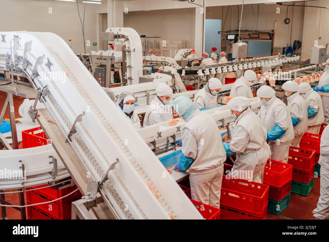 Chicken fillet production line . Factory for the production of food ...