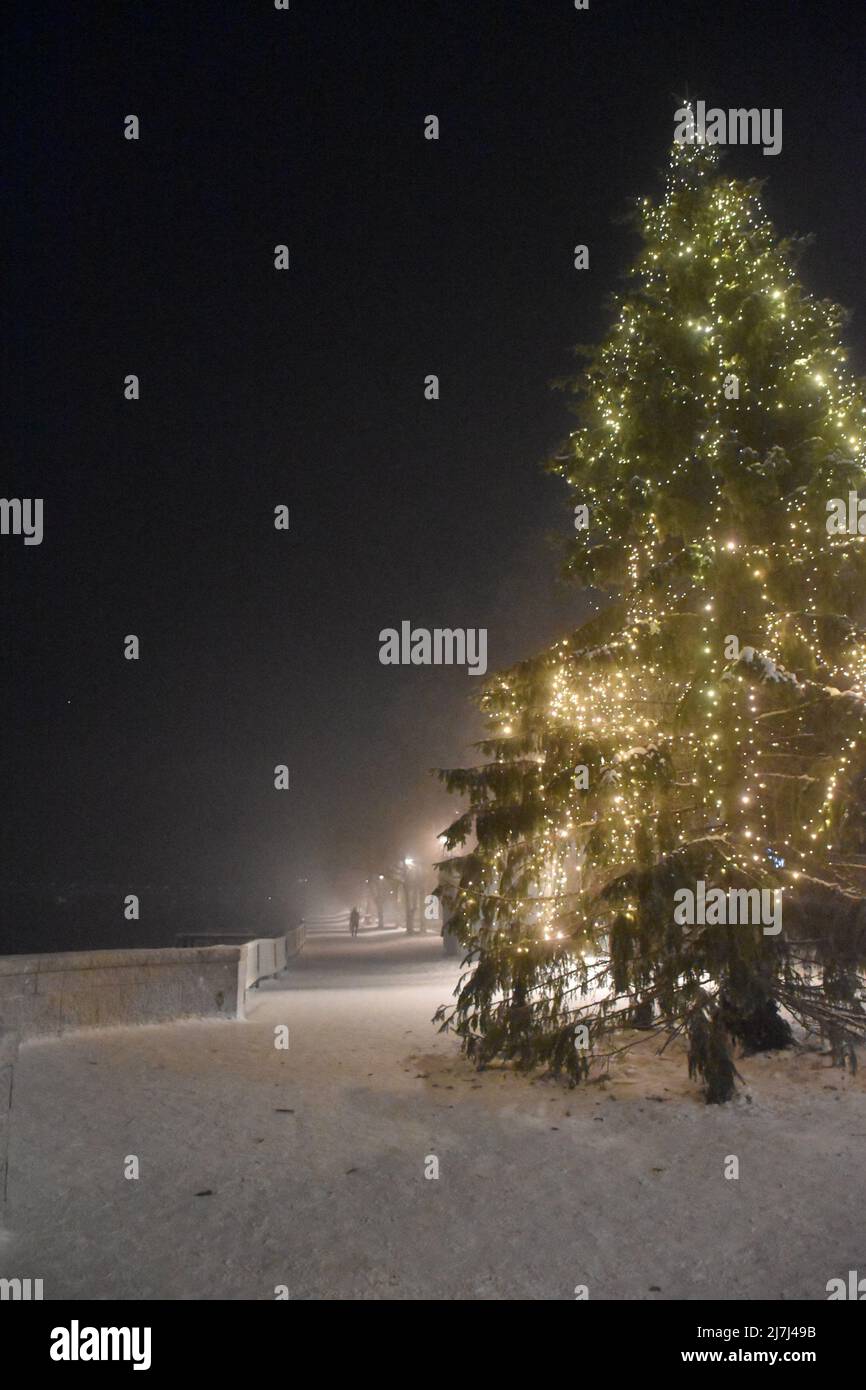 Christmas tree on the shore of a lake shrouded in fog on a winter night ...