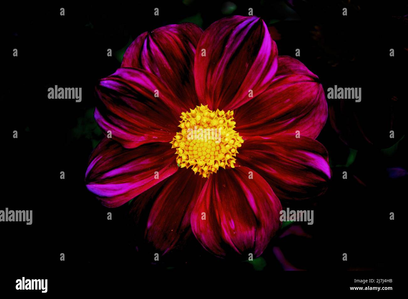 Colors and contrast hi-res stock photography and images - Alamy