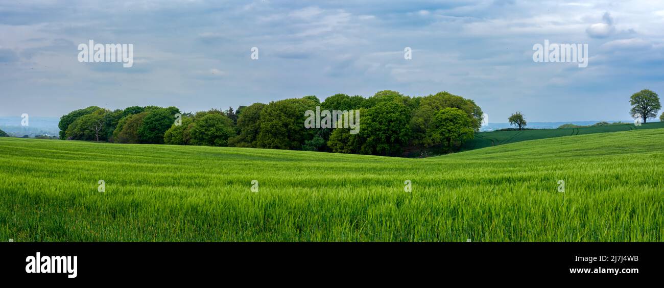 Greenery landscape hi-res stock photography and images - Alamy