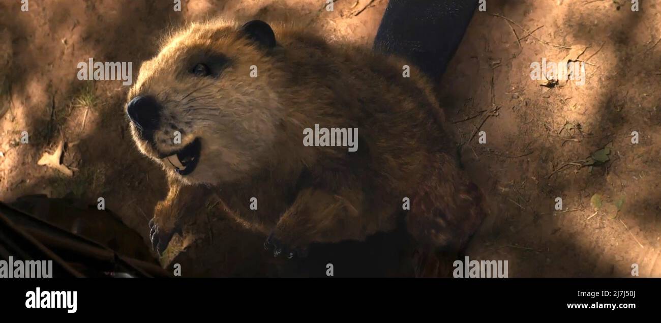 FAMILY CAMP, 2022. © Provident Films / Courtesy Everett Collection ...