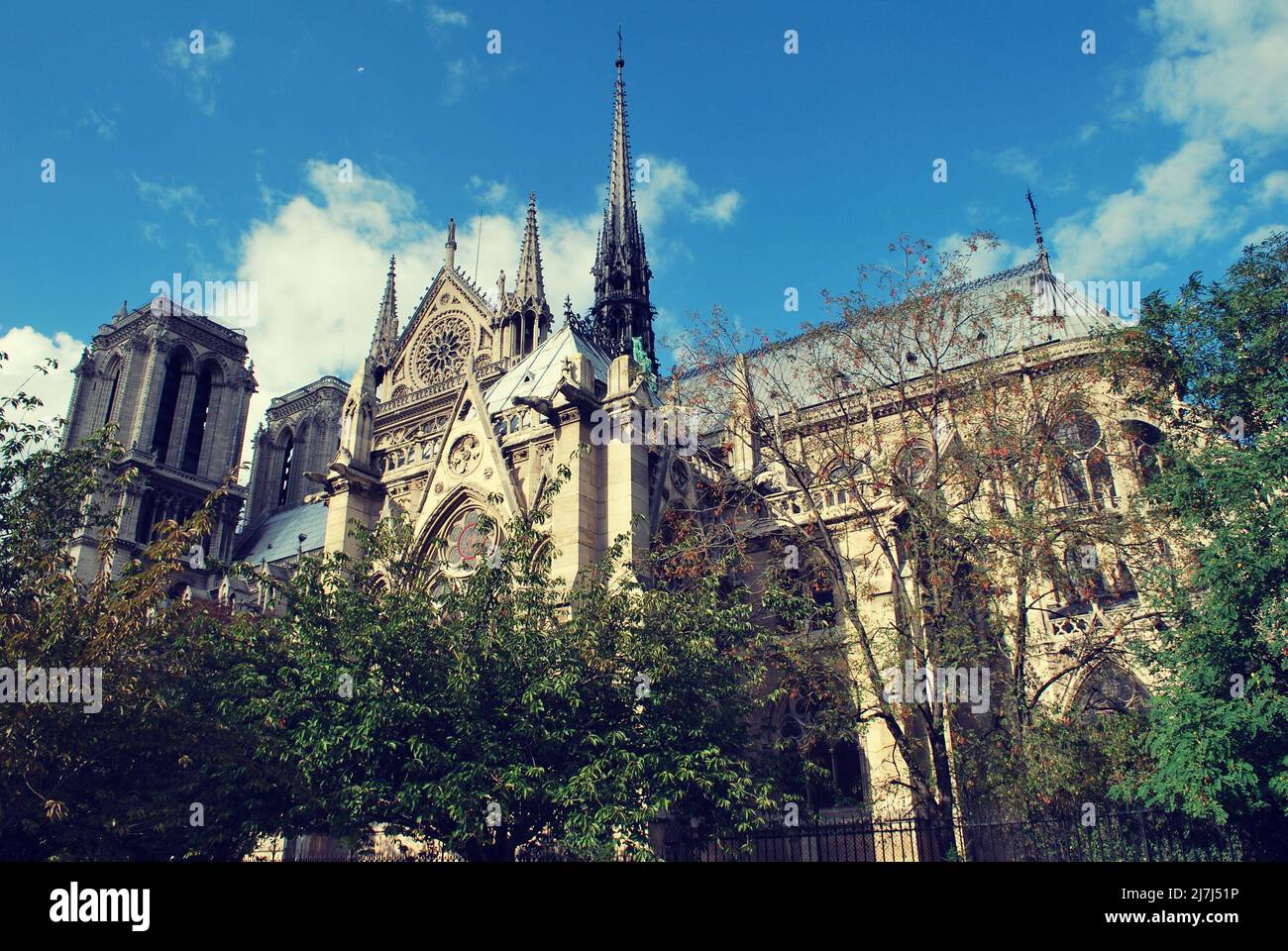 Paris France Notra Dame Cathedral, view from the river Stock Photo - Alamy