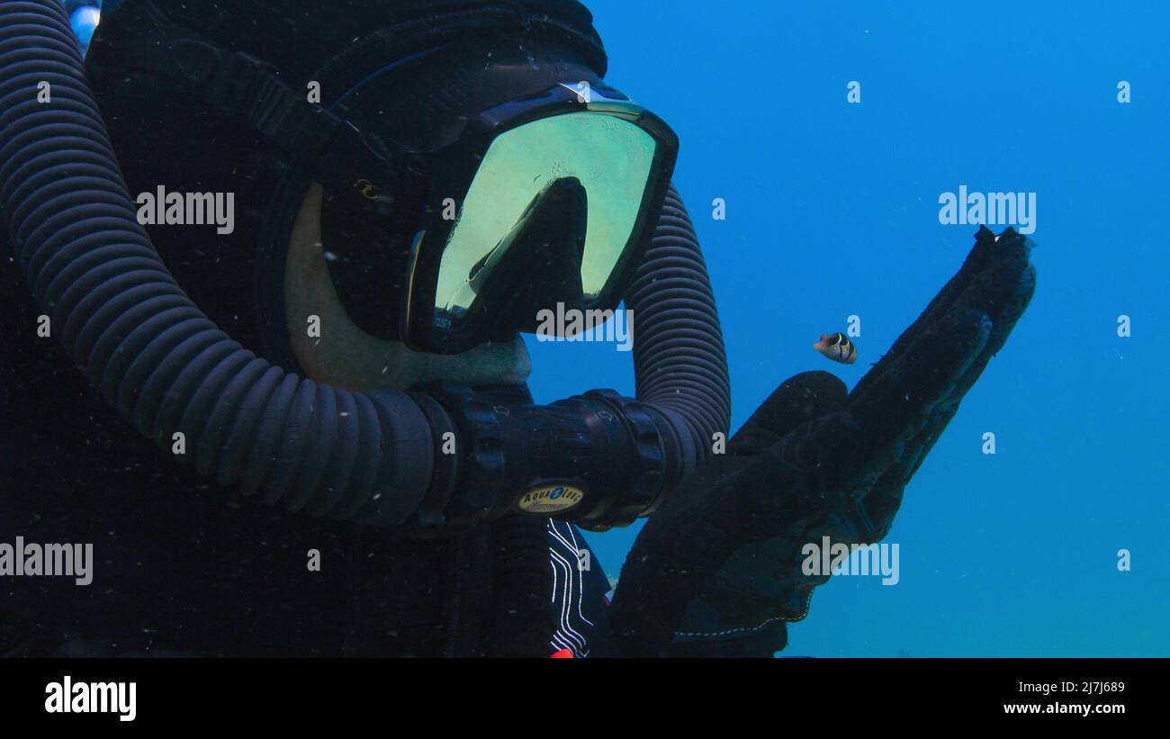 PUFF: WONDERS OF THE REEF, 2021. © Netflix / courtesy Everett ...