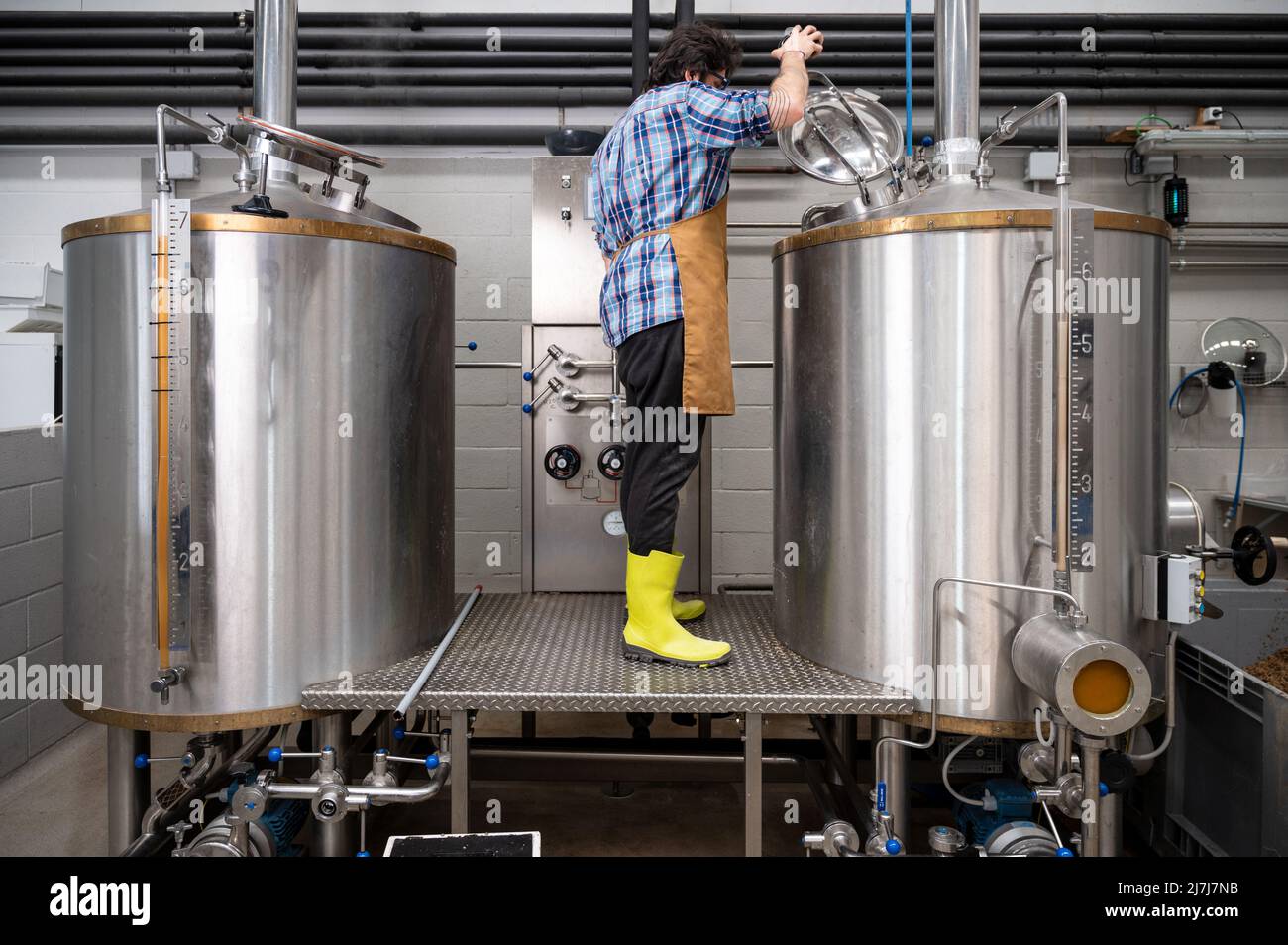 Portrait brewer working brewery hi-res stock photography and images - Alamy