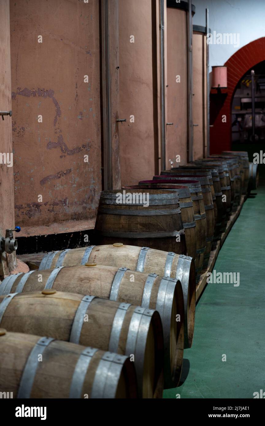 Making wine on traditional bodega in steel tanks and old wooden barrels ...