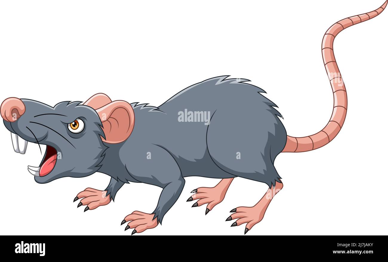Cartoon angry mouse on white background Stock Vector Image & Art - Alamy