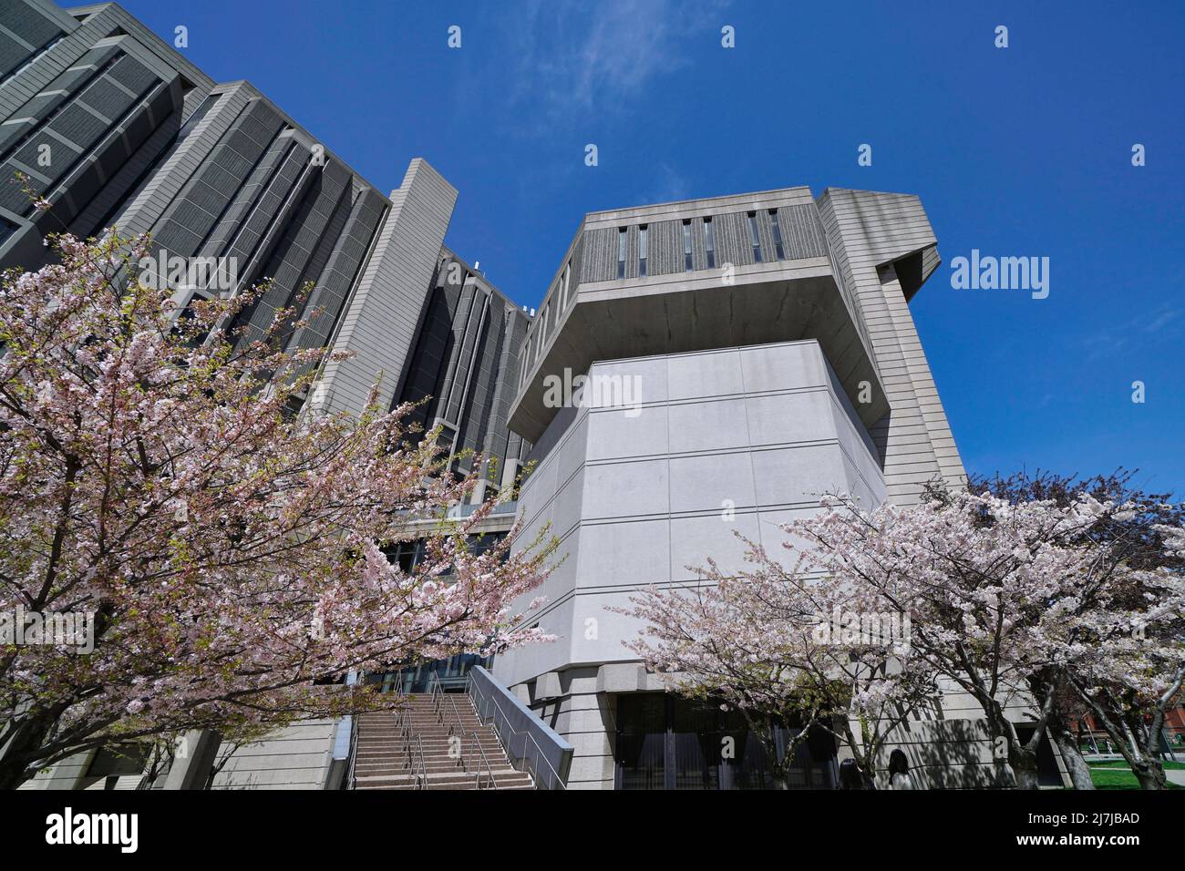 Toronto university library hi-res stock photography and images - Alamy