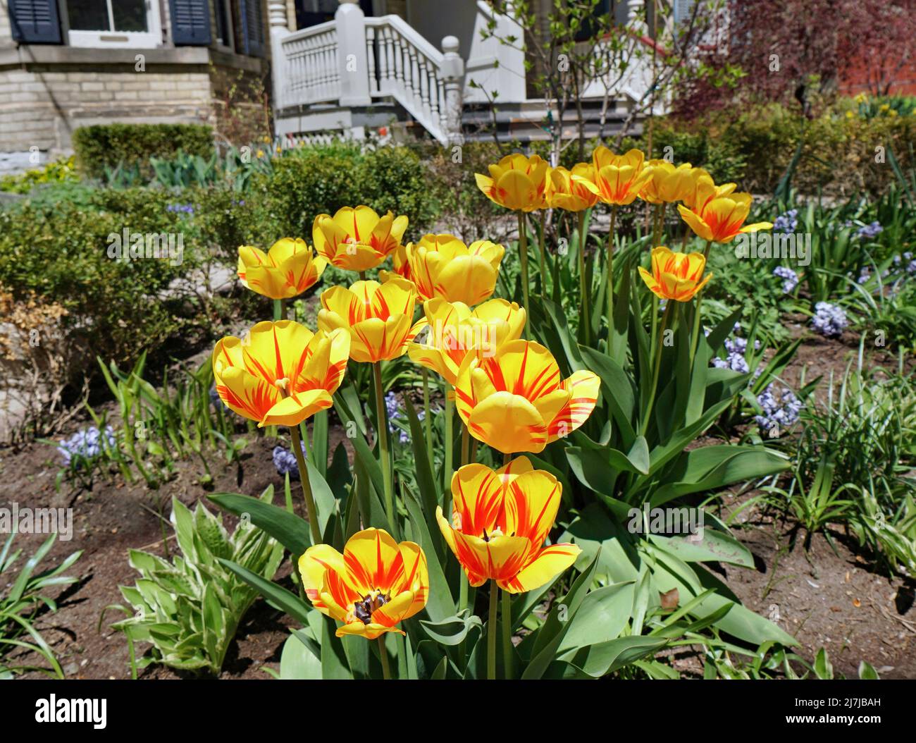 Bright yellow stripe hi-res stock photography and images - Alamy