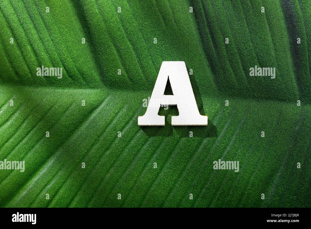 Alphabet letter A - Green leaf of tropical plant Stock Photo - Alamy