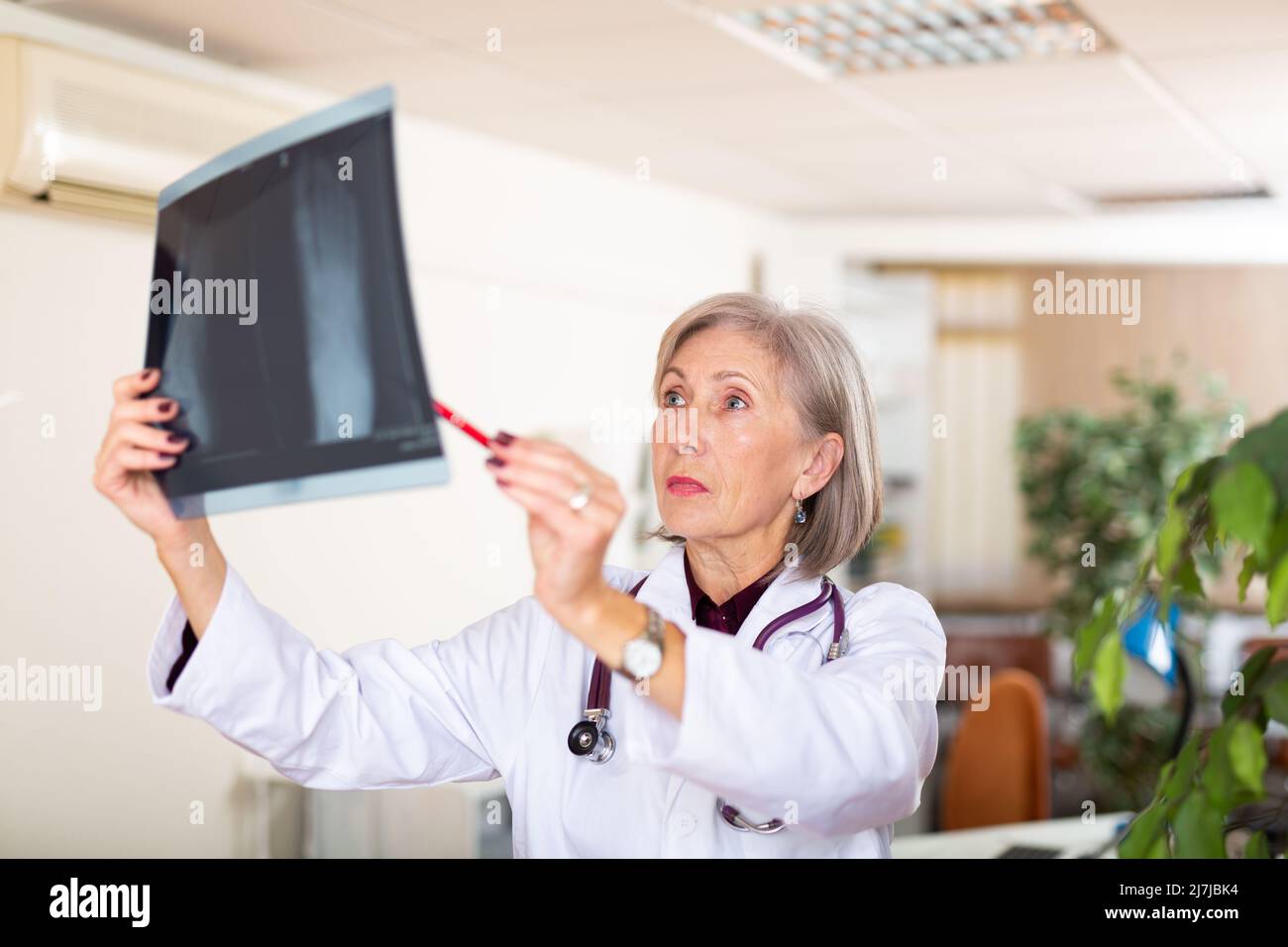 Female doctor examining x-ray closely in clinic closeup Stock Photo - Alamy
