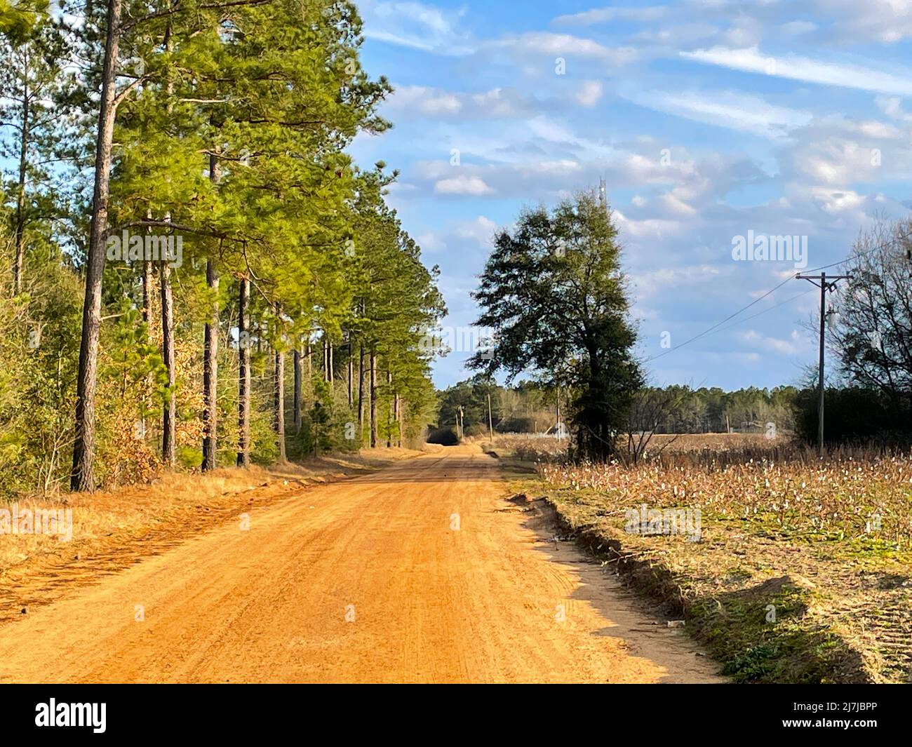 Burke County, Ga USA - 01 25 21: Long red clay dirt road in rural ...