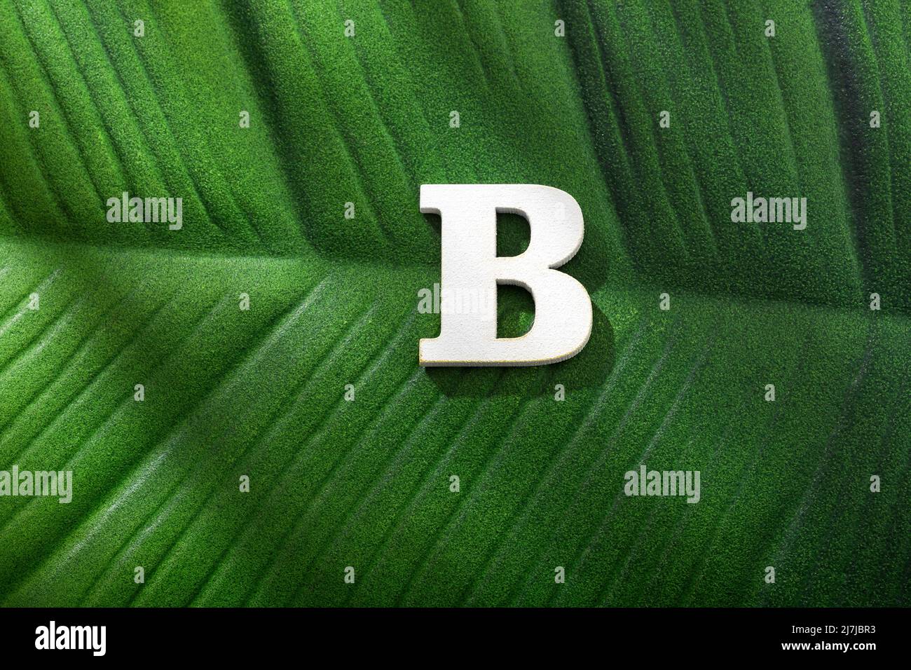 Uppercase letter B over forest tropical leaf Stock Photo - Alamy