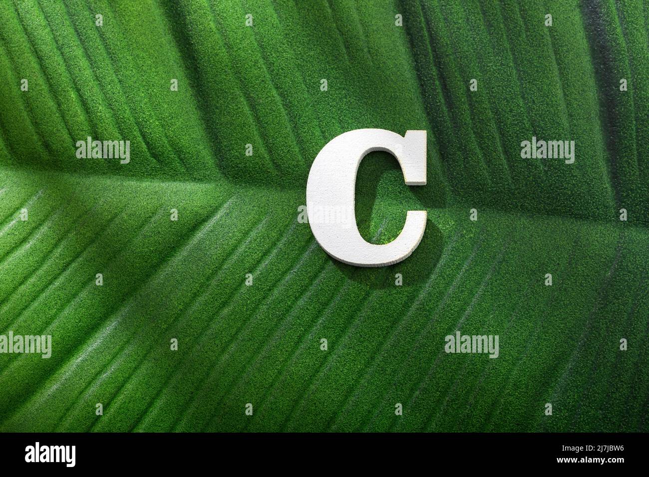 Alphabet letter C - Green leaf of tropical plant Stock Photo - Alamy