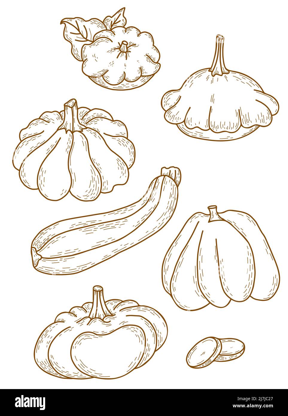Contour Drawings Of Vegetables