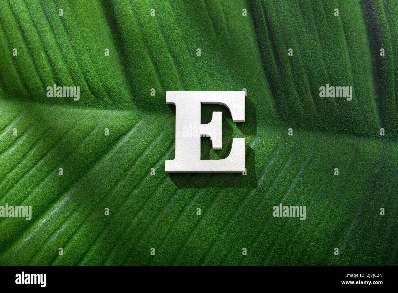 Alphabet letter E - Green leaf of tropical plant Stock Photo - Alamy