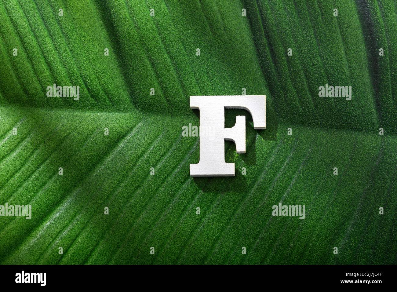 Uppercase letter F over forest tropical leaf Stock Photo - Alamy