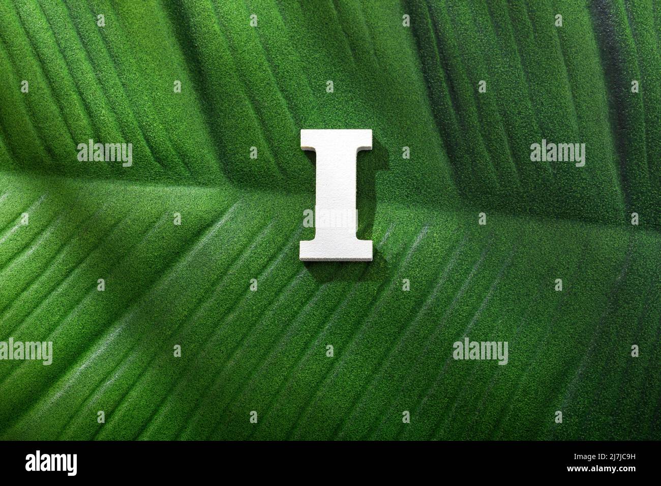 Alphabet letter I - Green leaf of tropical plant Stock Photo - Alamy