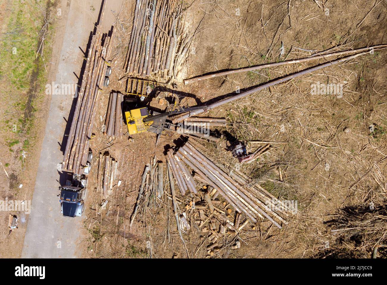 Aerial view on loading of logs a timber onto for truck Stock Photo - Alamy