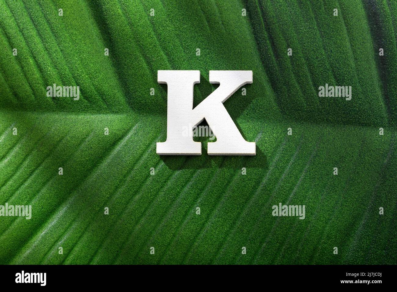 Alphabet letter K - Green leaf of tropical plant Stock Photo - Alamy